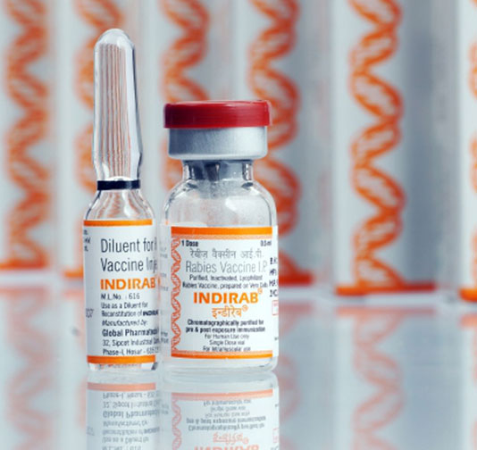 Bharat Biotech-Vaccines & Bio-Therapeutics Manufacturer in India